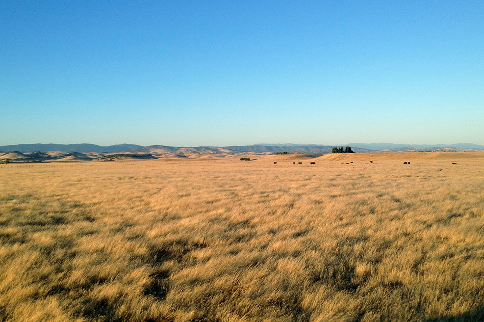 Fashion & Film – Flying M Ranch