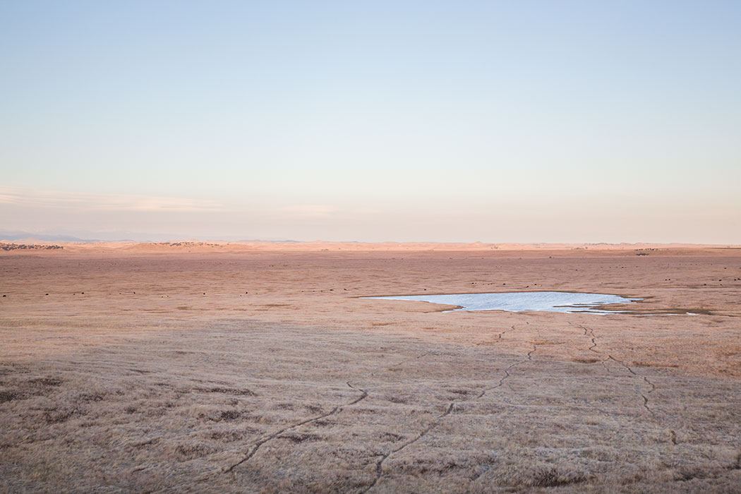 Contact – Flying M Ranch